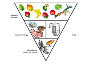 Is the food pyramid upside down? - HerbsontheHIll